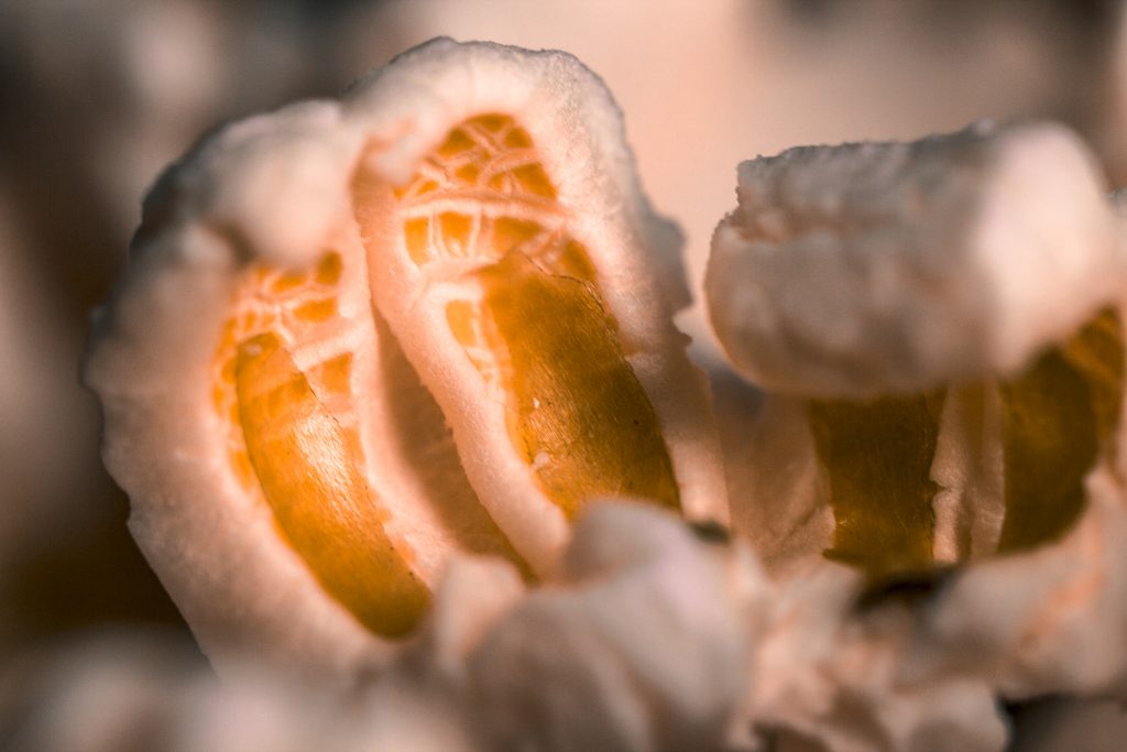 pOpCoRn SpEaKiNg - Poetic Film - Sound Poetry - Experimental Poems ...